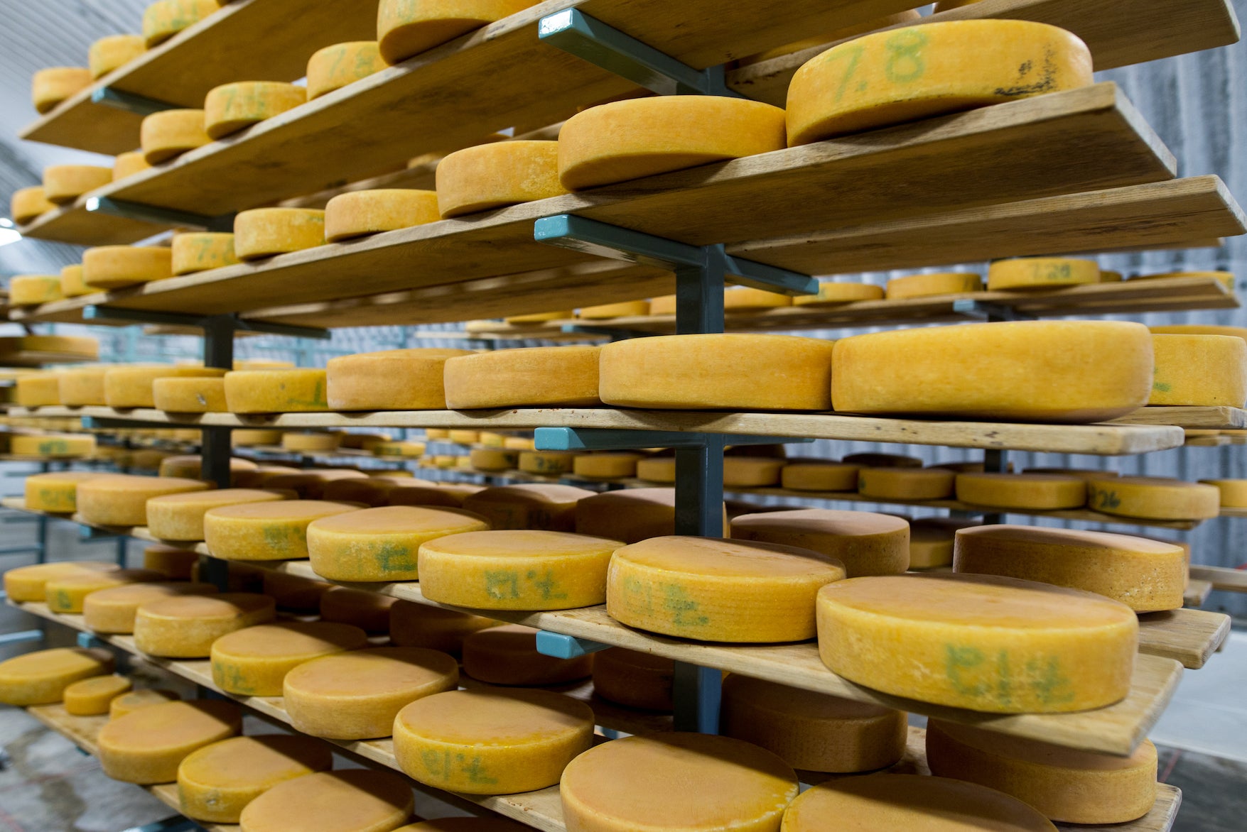 Cheese Fest - Leelanau Cheese Company